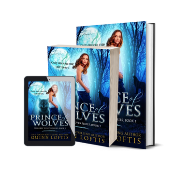 The Grey Wolves Series – Quinn Loftis Books